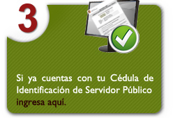 DeclaraNET - Secretaría de la Contraloría del Estado de México